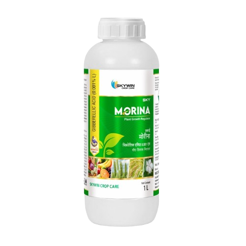 Morina | KRISHIMITRAN